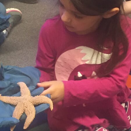 Classes - Spark Preschool